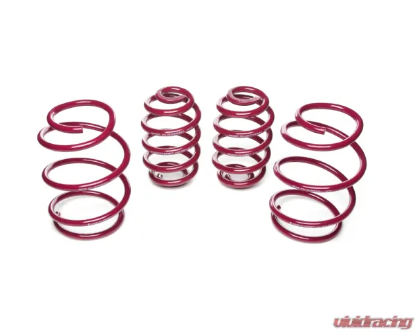 Vogtland High-Tensile Lowering Springs BMW 3 E46 320ci | 323ci | 325ci ...